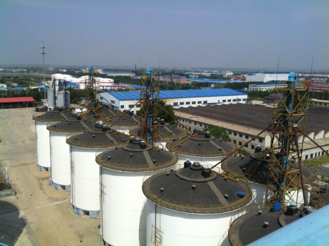 Port bulk vertical grain silo warehousing technology and conveying ...
